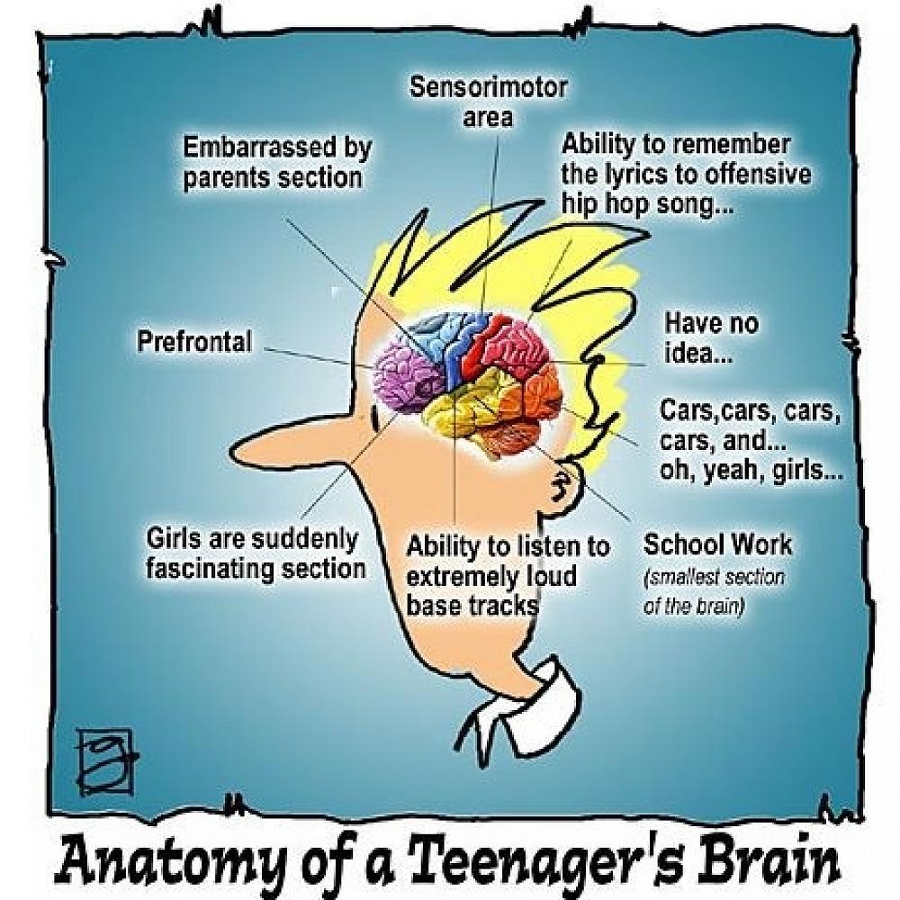 Unravelling the Mystery of the Adolescent Brain!