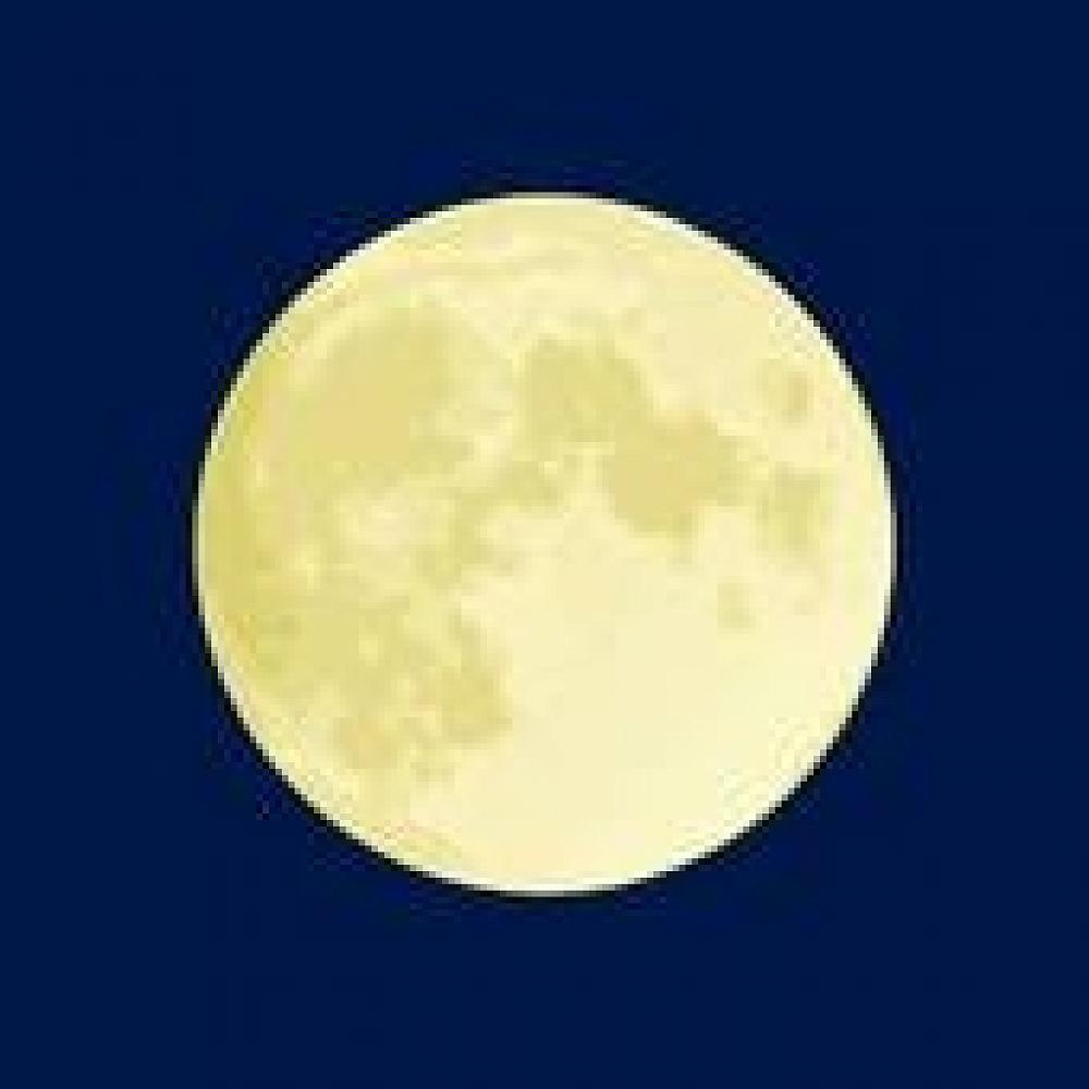 Year 8 Writing Dear Moon