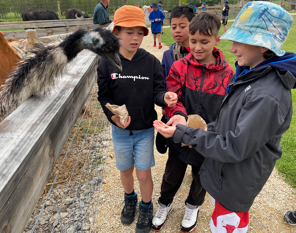 Day 2 @ Year 6 Camp! — Week 5 Term 4 Newsletter 2021