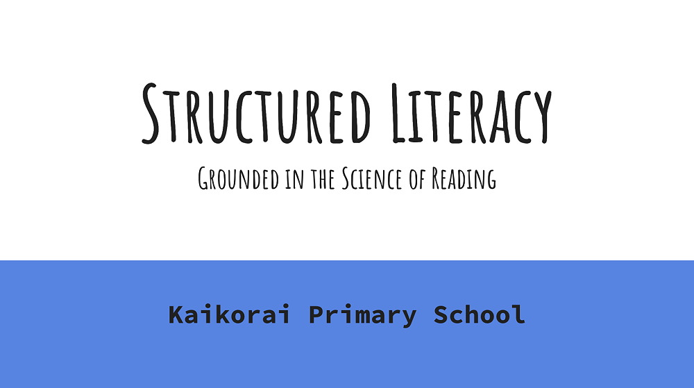 Structured Literacy ️