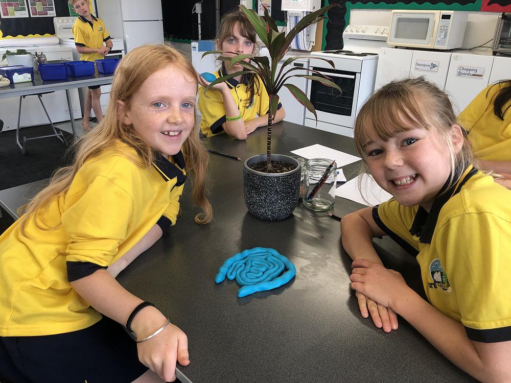 Model organs - STEM Year 5