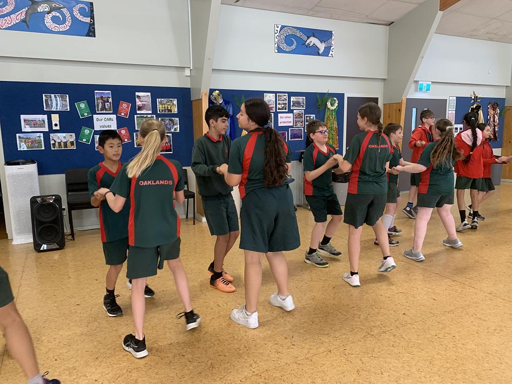 Taiheke - Term 4 - Week 3