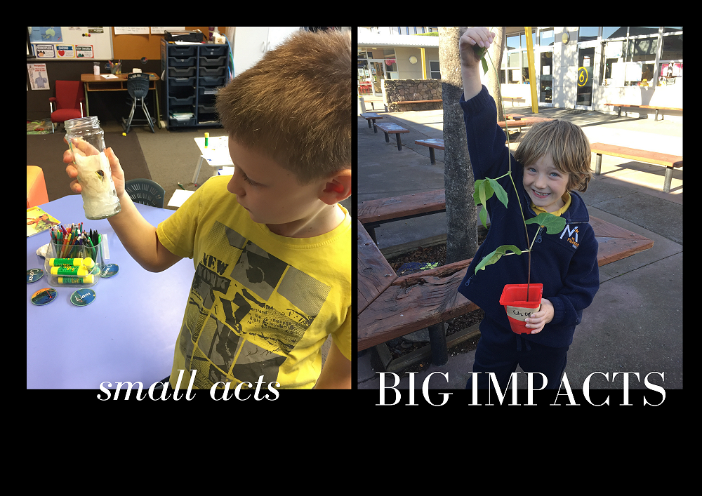 Our Learning: Sharing the Planet