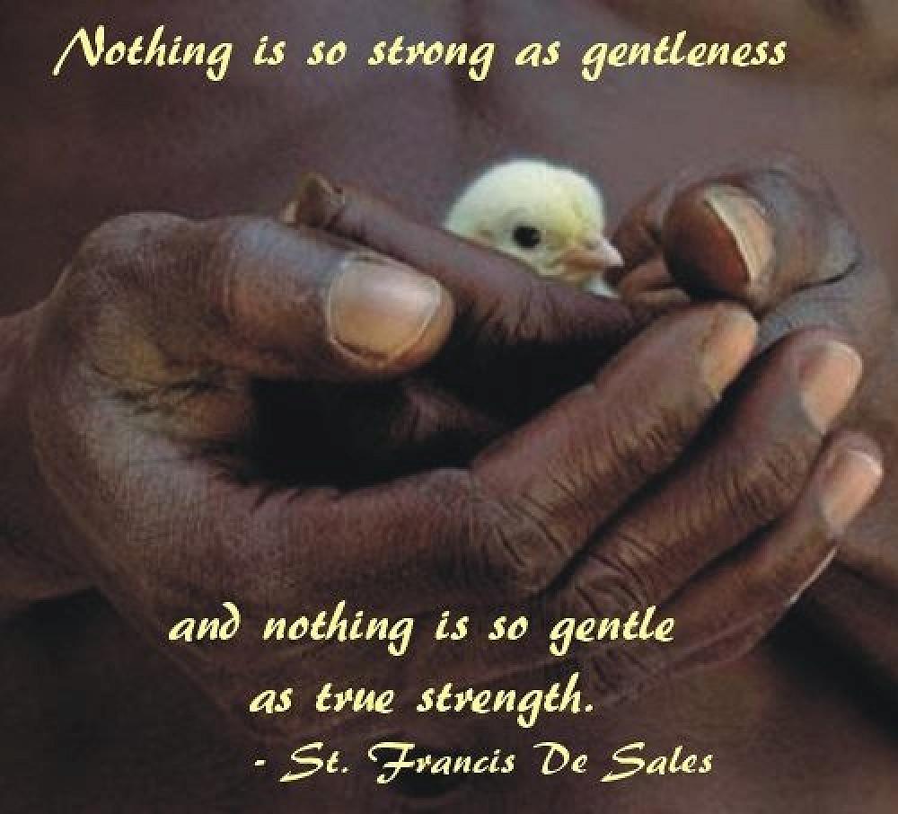 Creating Moral Citizens Virtue Of The Week Is Gentleness