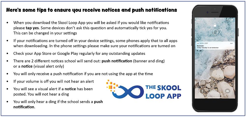 Skool Loop — Newsletter Week 9 Term 4 2022