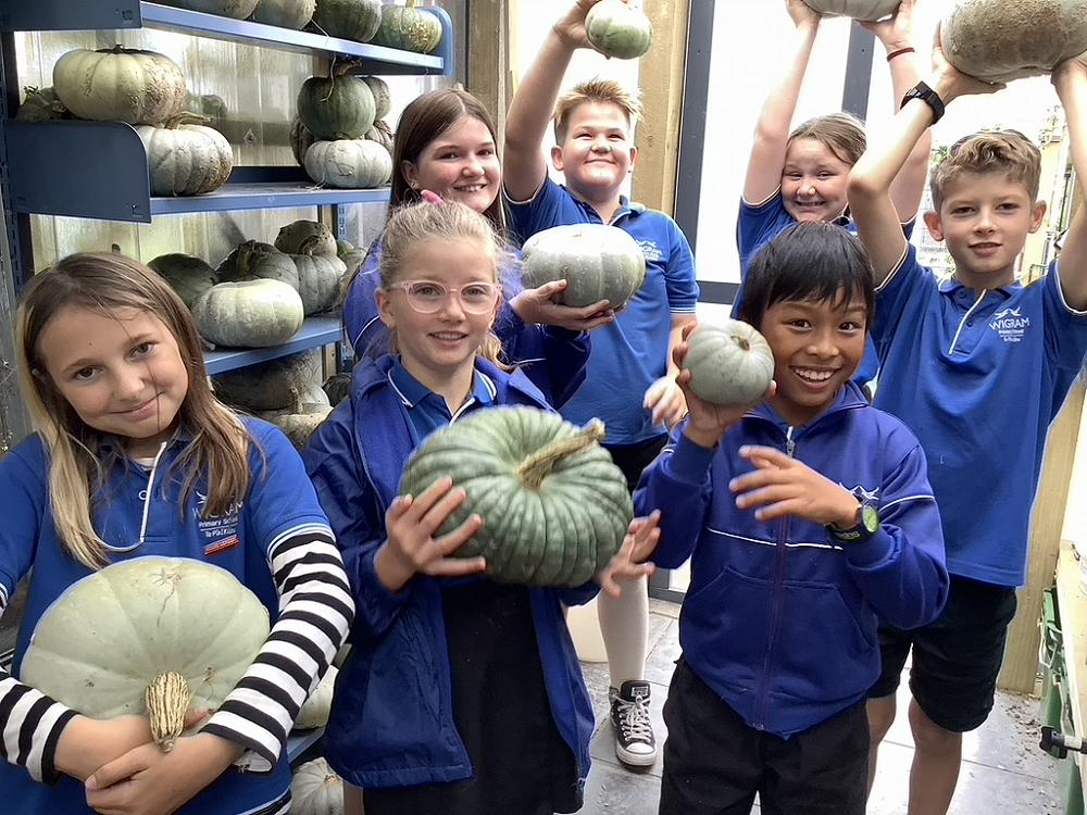 Student Council Project