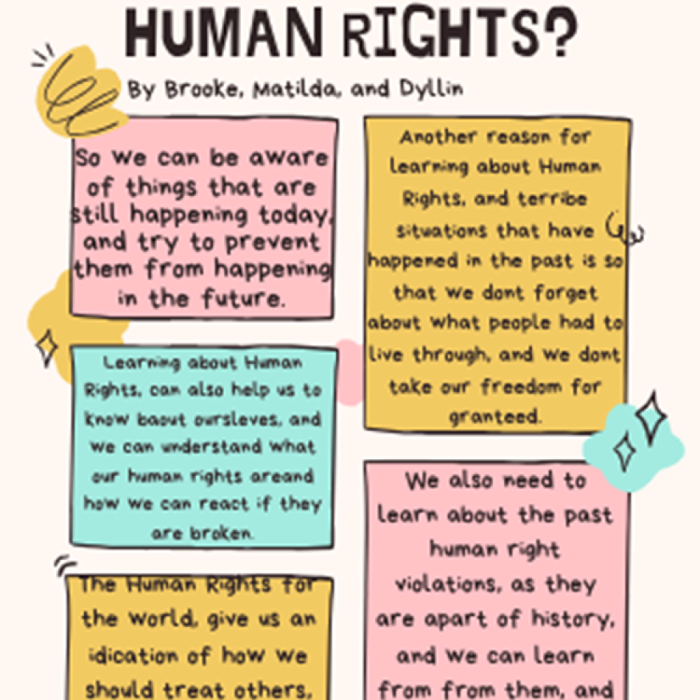 Y10 Social Studies have been learning about Human Rights.