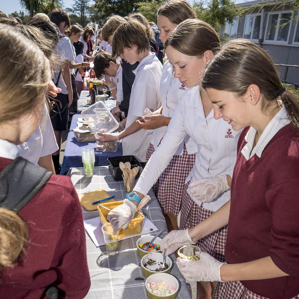 Market Days — Welcome to Term 2