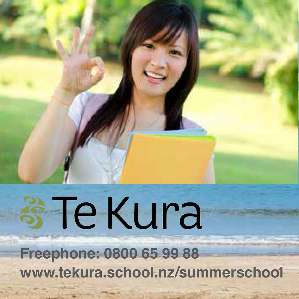 Study Online With Te Kura Summer School Or UC Hagley
