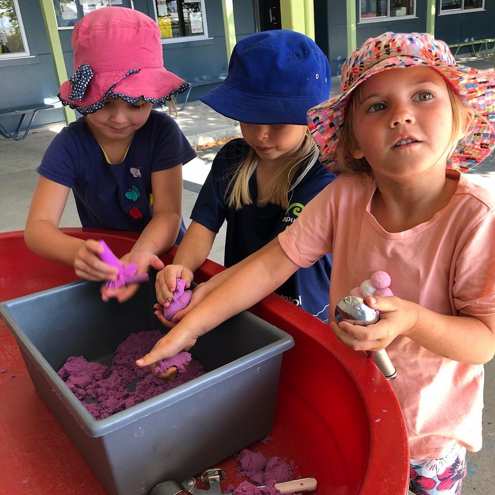 Mapua School Newsletter Term One, Week Two 2019