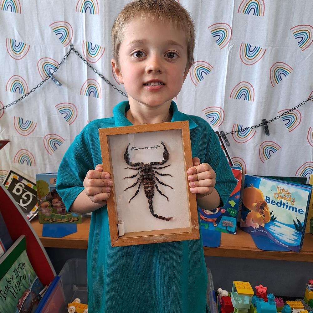 Bugs and Creepy Crawlies