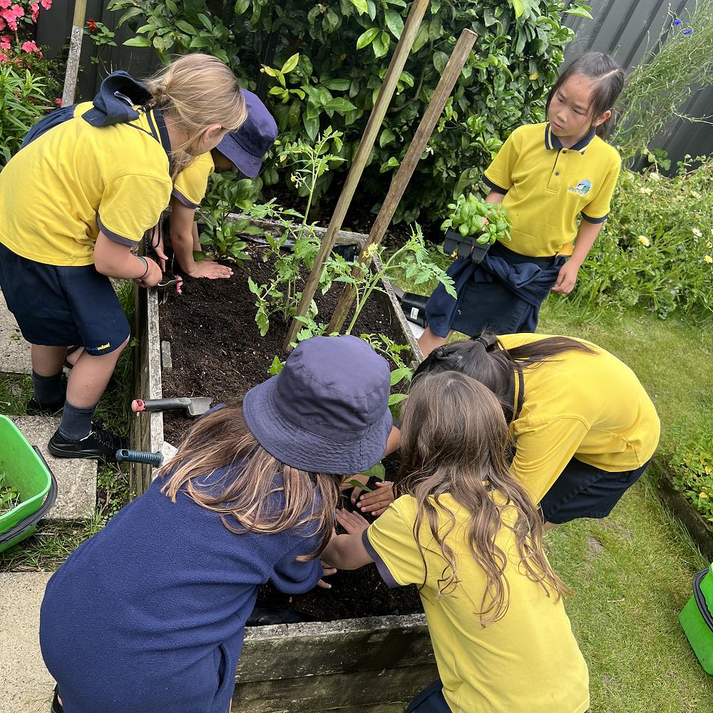 Gardening Club update — Newsletter: Term 4, Week 9 2023