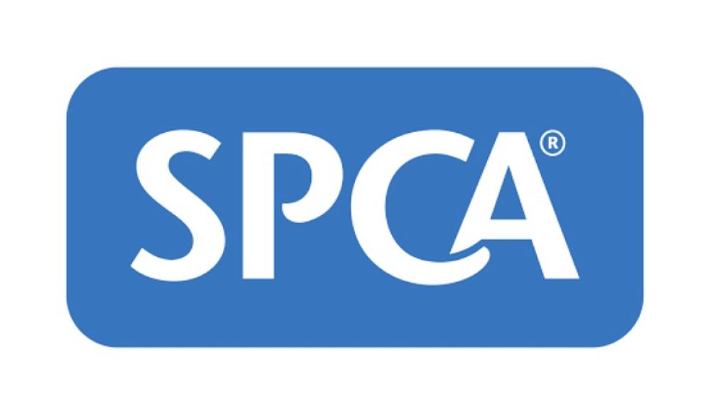 Term 4 SPCA Dress Up Day