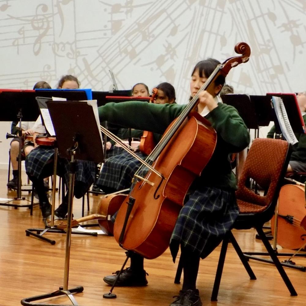 itinerant-music-lessons-for-year-8-students-in-2020