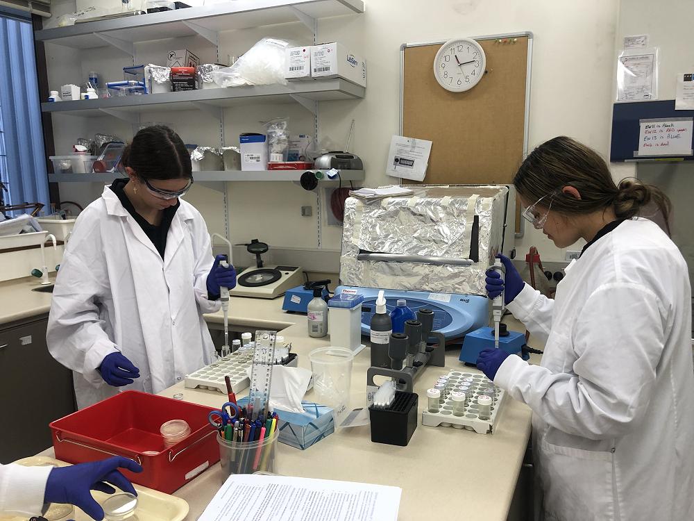 ESR Research Workshop