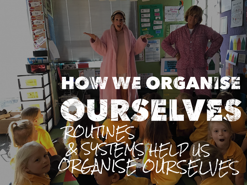 Our Learning: How We Organise Ourselves