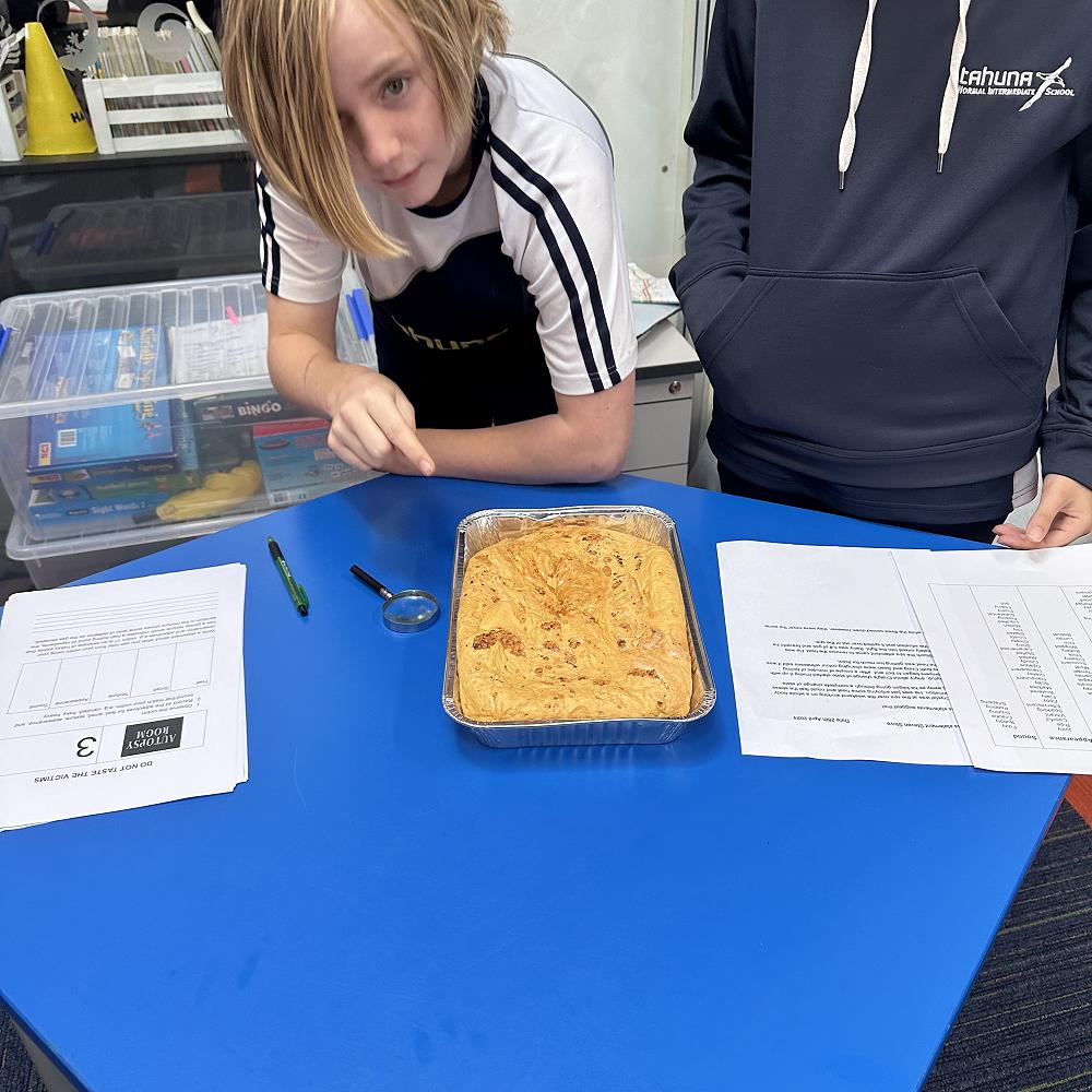 Year 8 News — June Newsletter