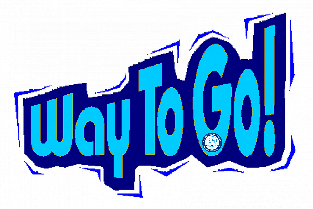 Way 2 Go!