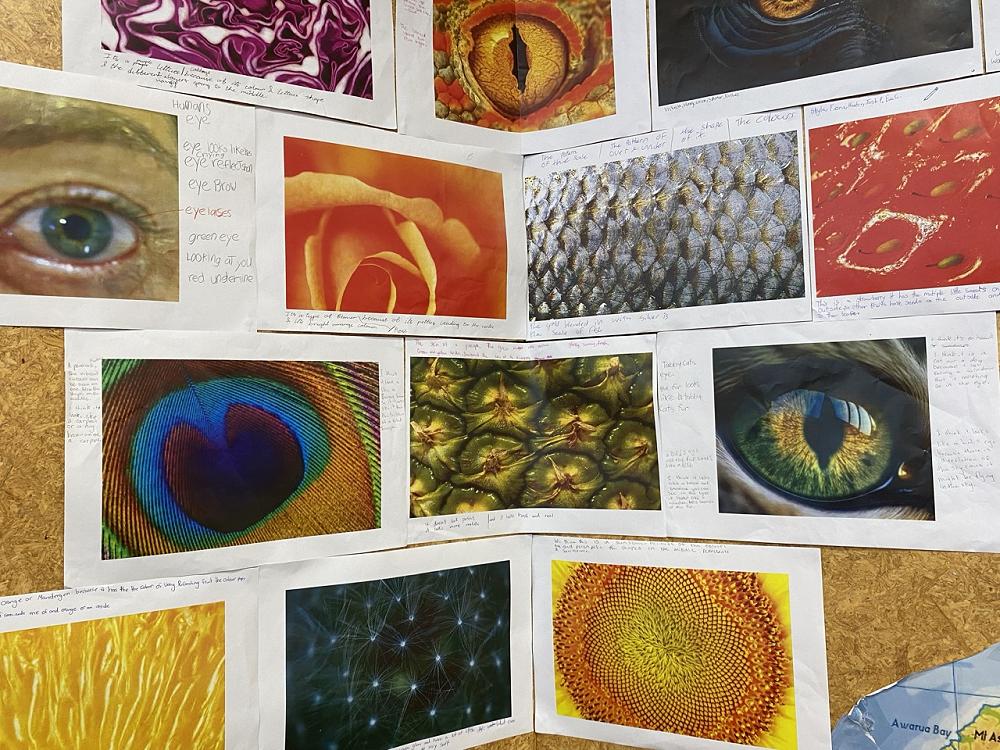 Toroa Students and their Artistic Eyes. - Toroa (Year 7-8)