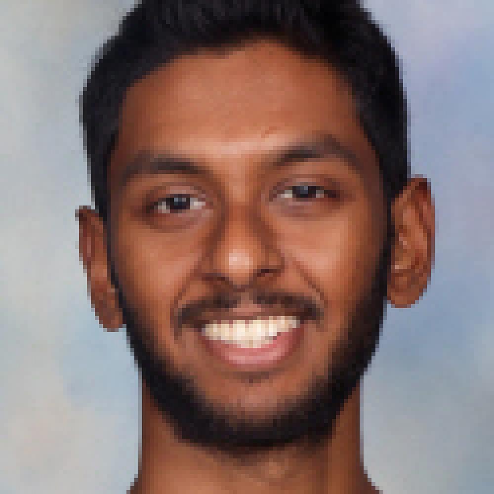 Pranay Prasad Ict Learning And Technical Support Assistant 