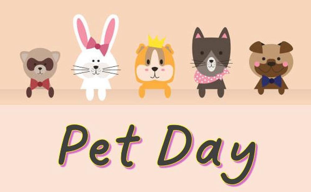 Outram School Pet Day – Friday 25th October 2024 — Term 3 Week 7 Newsletter