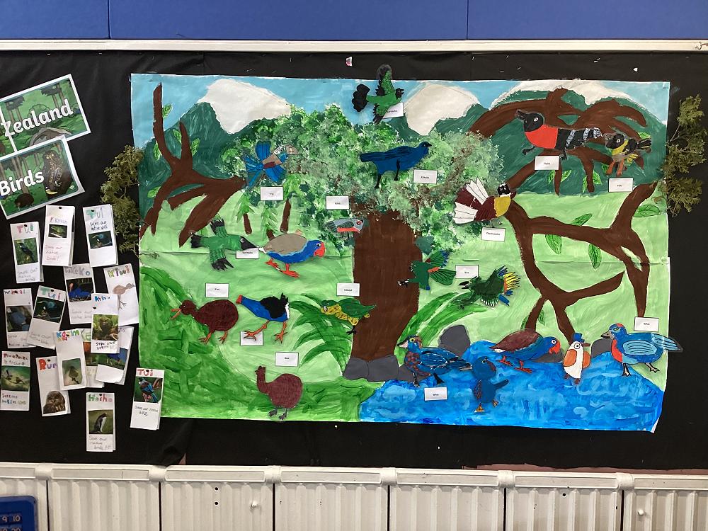 Room 3's Native Bird Inquiry