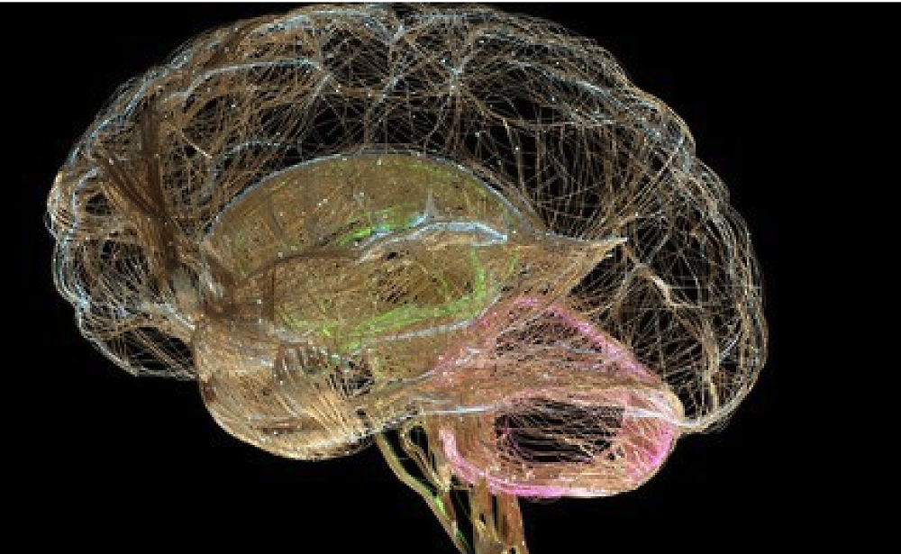 Learning to Regulate