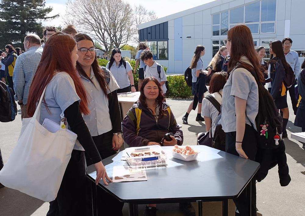 Year 12 Business Market Day