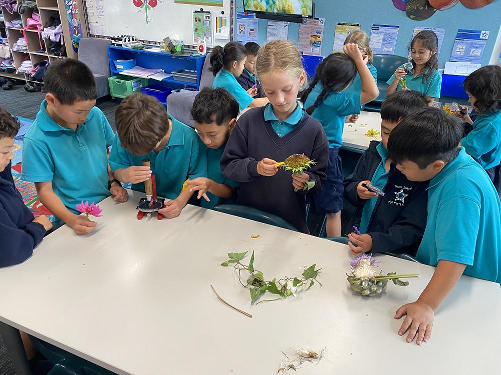 It's Science time in Kōpura! — Newsletter - 20 March 2025