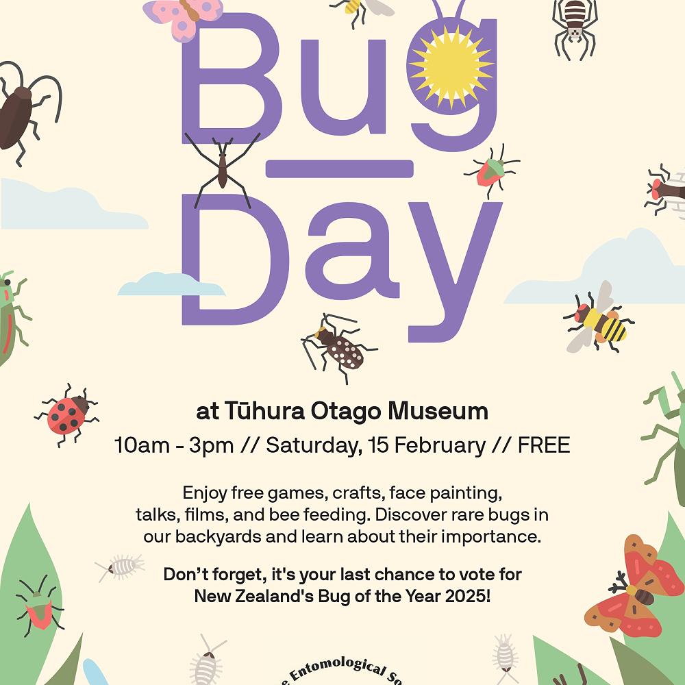 BUG DAY AT THE MUSEUM