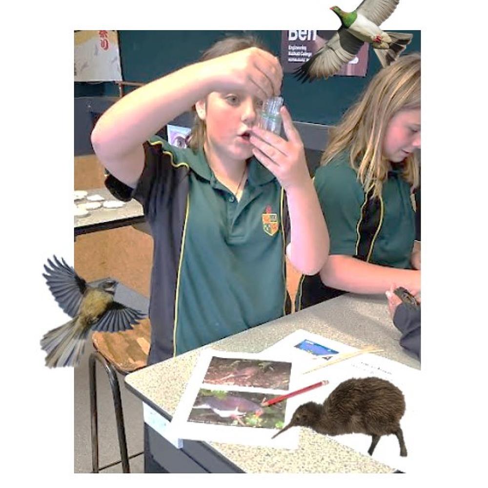 New Zealand Garden Bird Survey