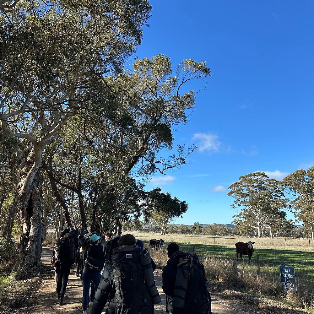 Exploring Nature and Teamwork