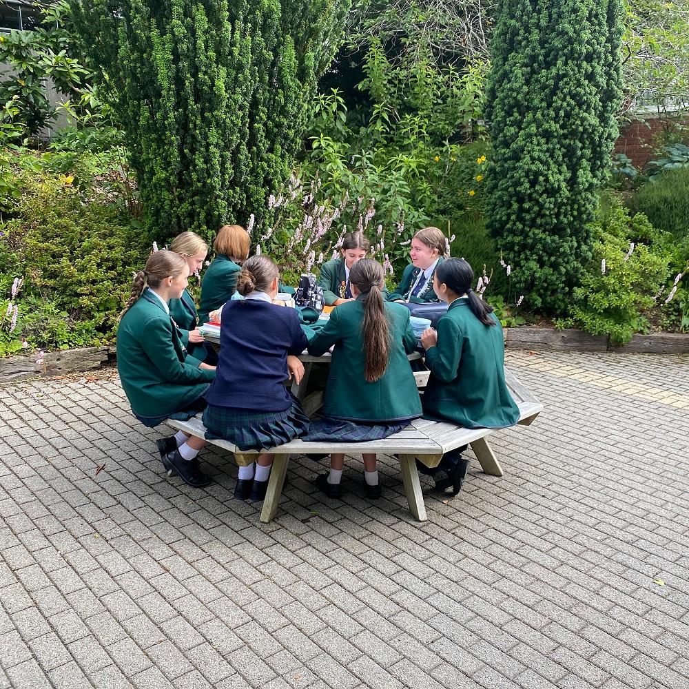 Peer Support is underway!