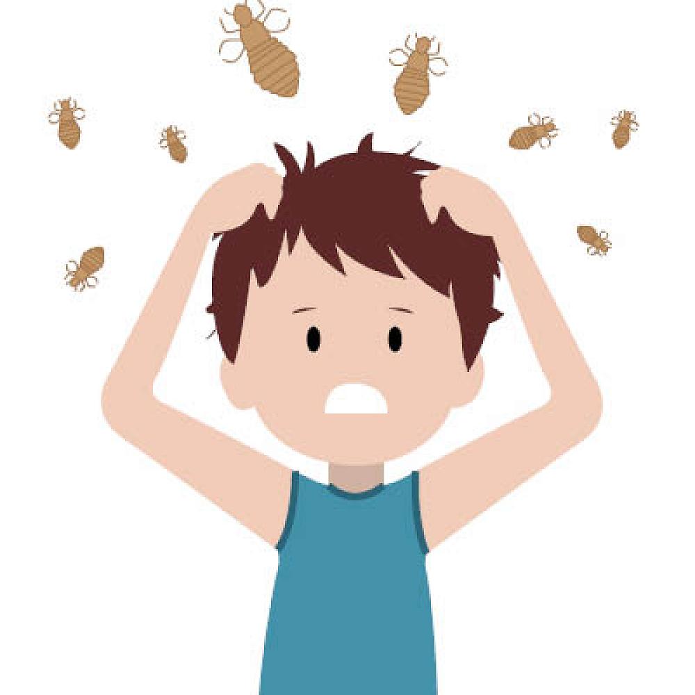 Head Lice are Back — Newsletter Week 1, Term 3, 2025