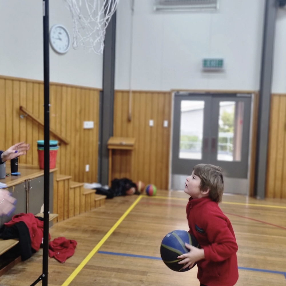 Newsletter Week 6 - Term 2 - 2024