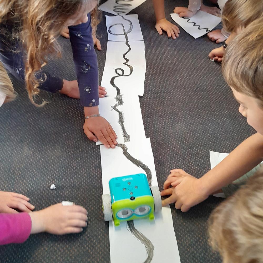 Coding With Botley in Totara.