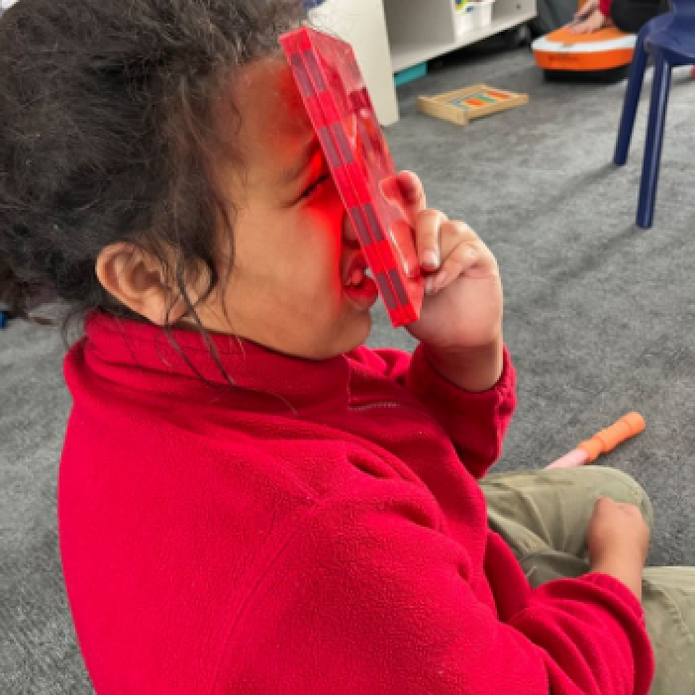 Discovering the World: Learning Through Play