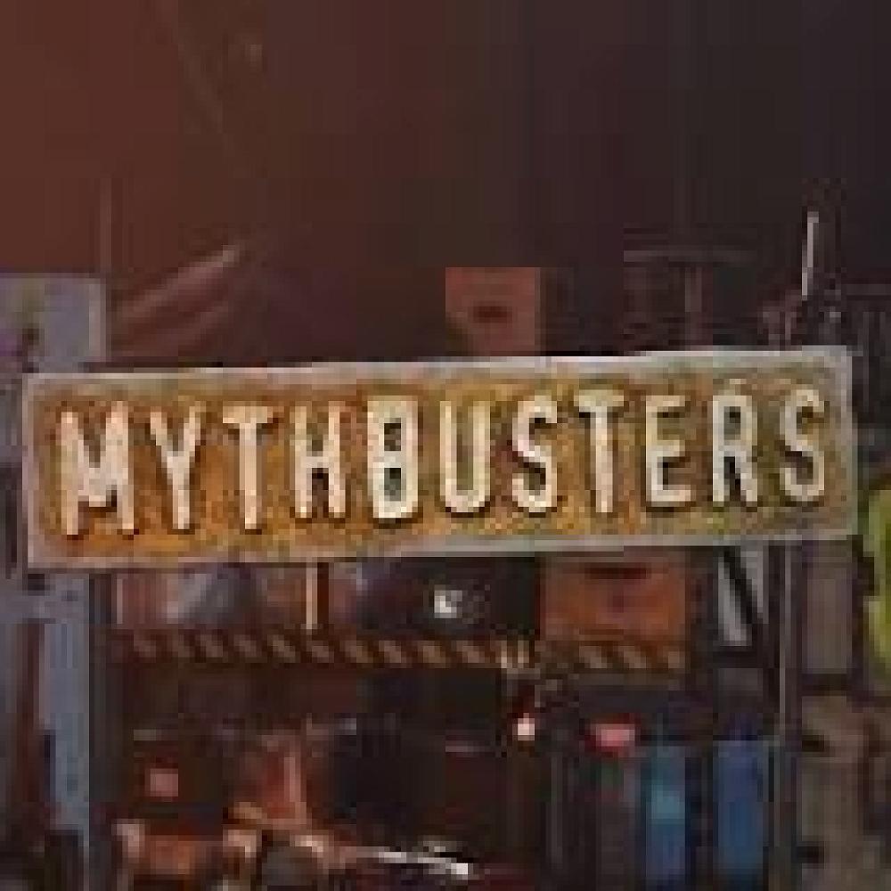 Year 11 Mythbusters