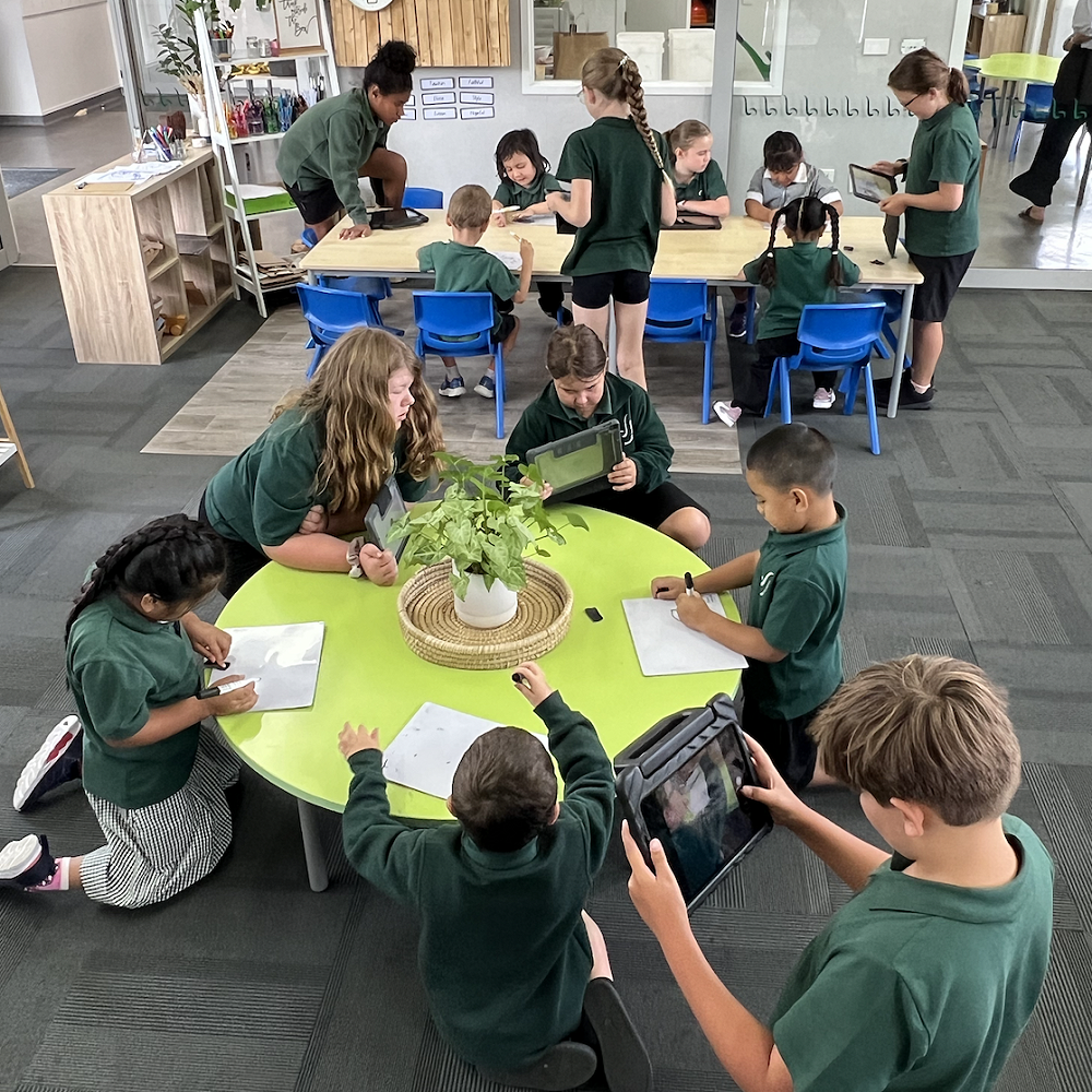 Yr 6 Buddy Programme — Pānui Wiki 2 Term 1 2024
