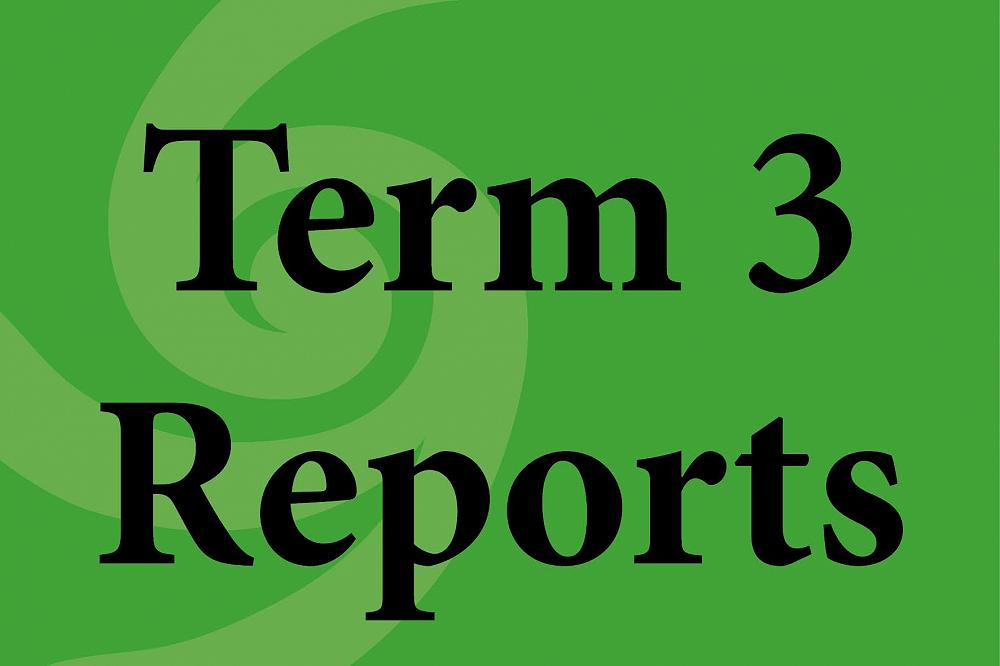 Term 3 Reports