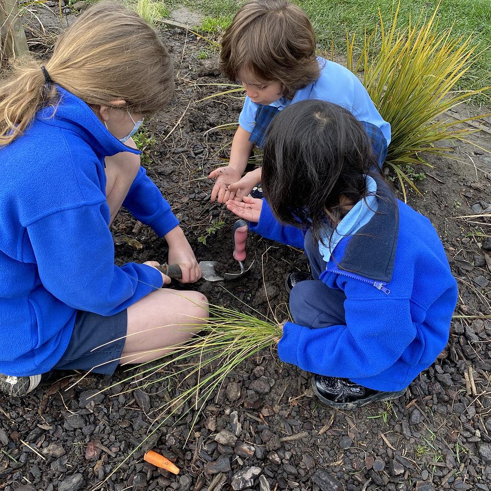 Newsletter - Week 5, Term 3