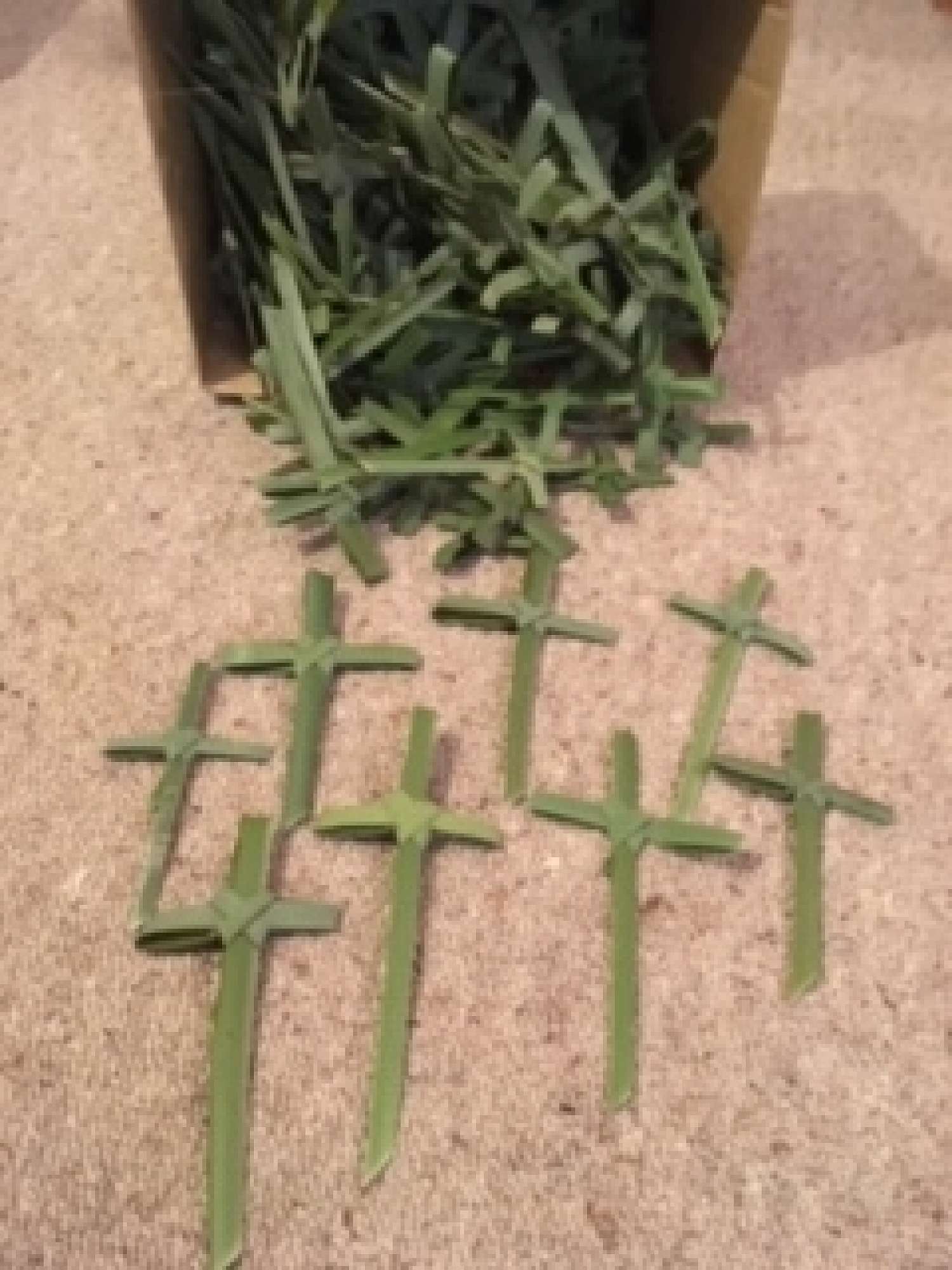 Holy Week Services and Term 2 dates for your diary