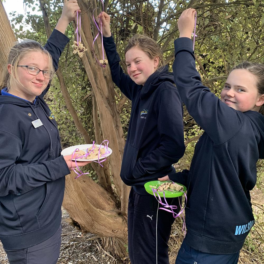 Bird Feeders for our Enviro Project