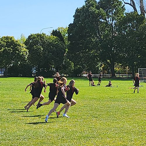 Waimea Intermediate School