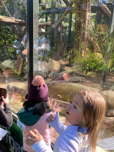 Junior School Zoo Trip