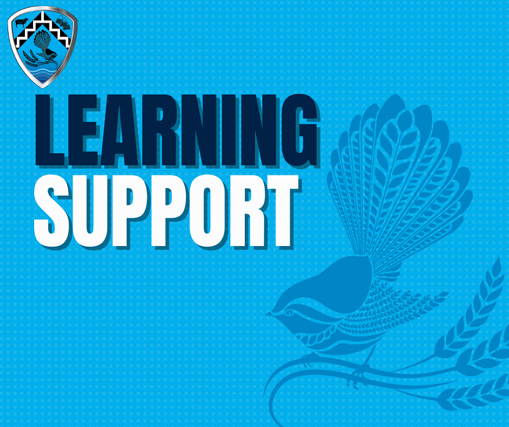 Learning Support