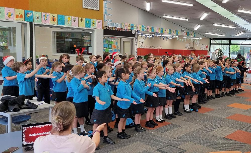 Newsletter - Term 4, Week 10