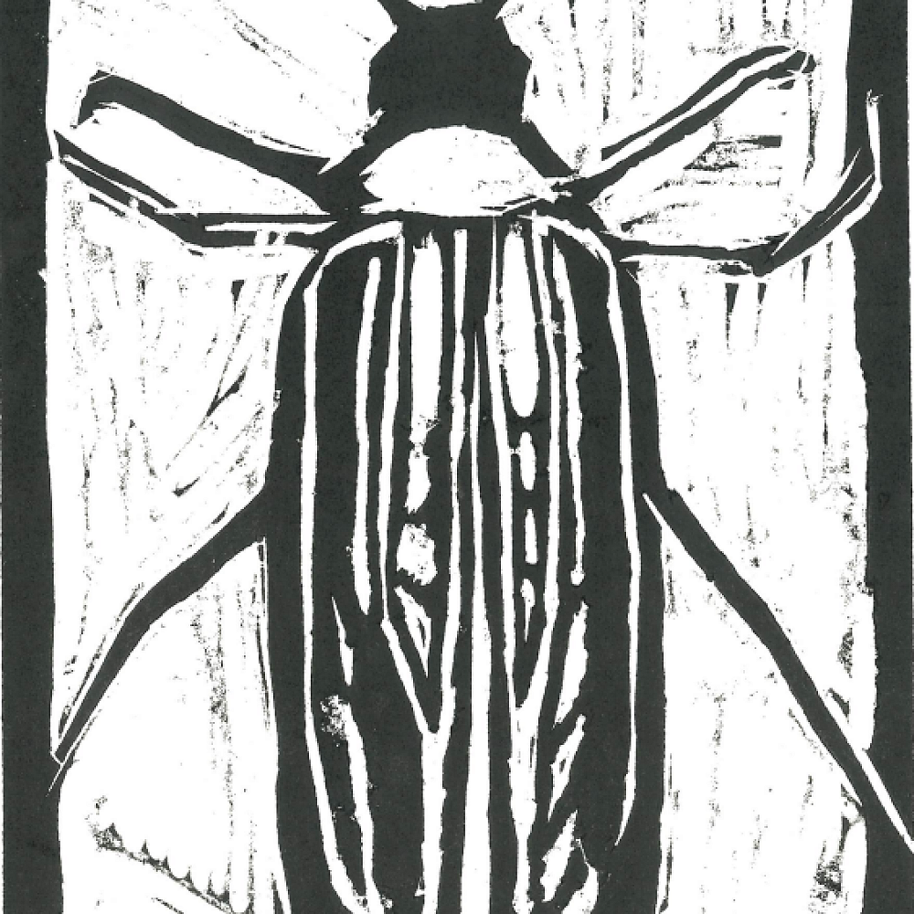 Artist of the Week — Newsletter - 1st December 2023