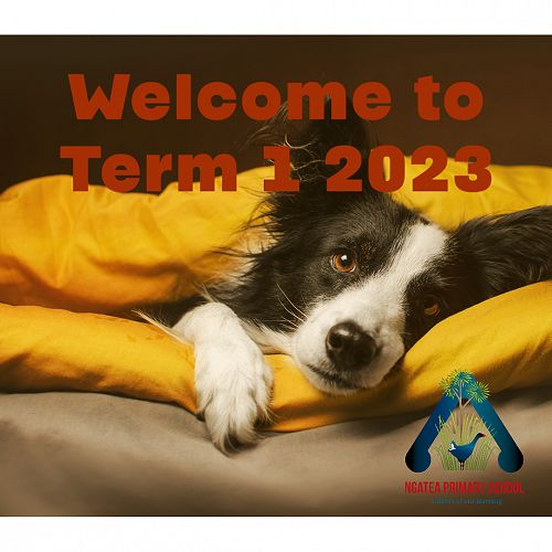 2023 - WELCOME BACK by Ngatea Primary School