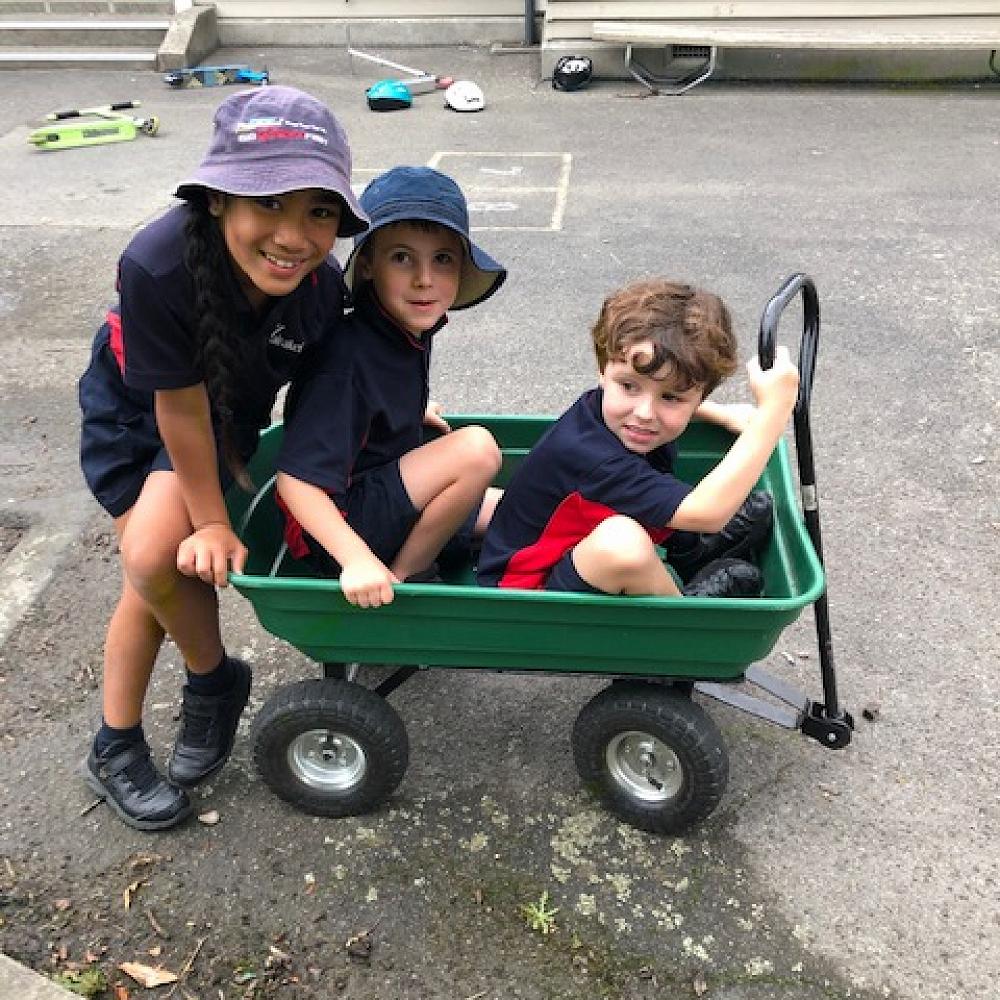 Term 1, Week 2 Newsletter